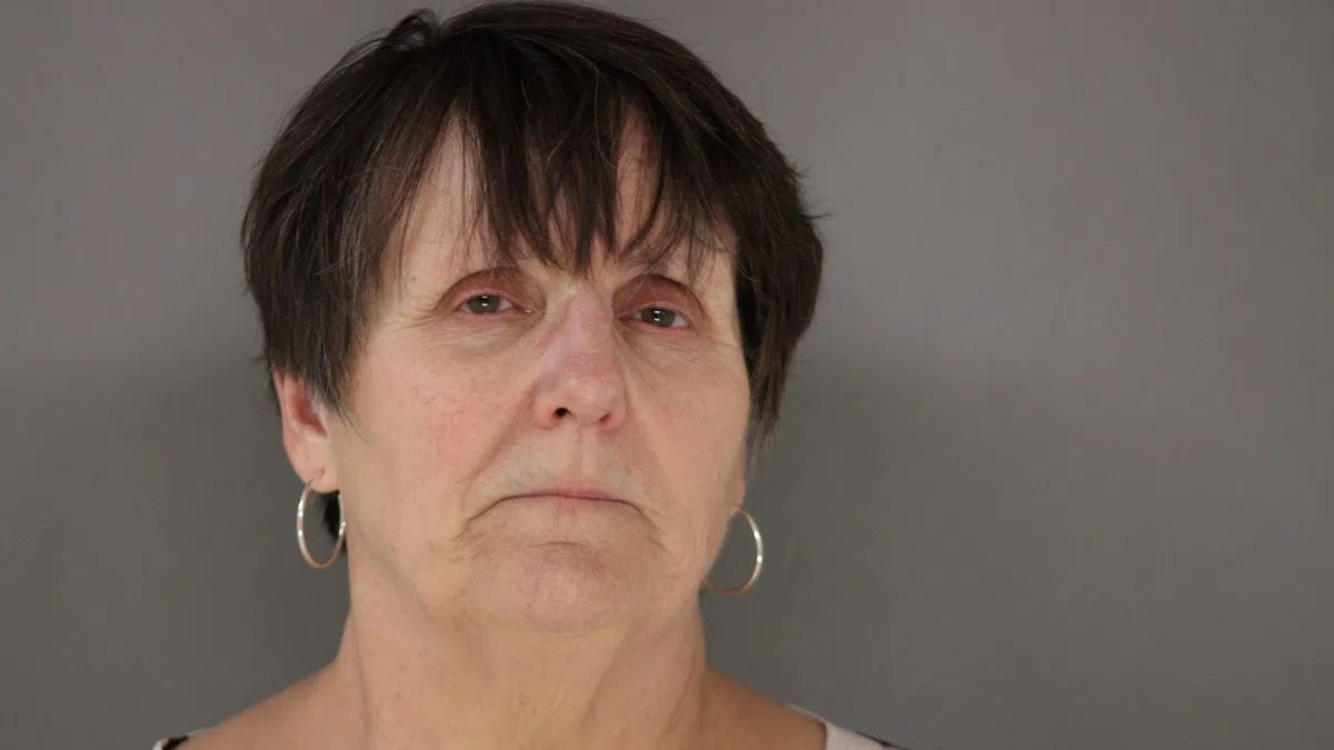 Perham Woman Enters Plea Agreement After Allegedly Stealing Over ...