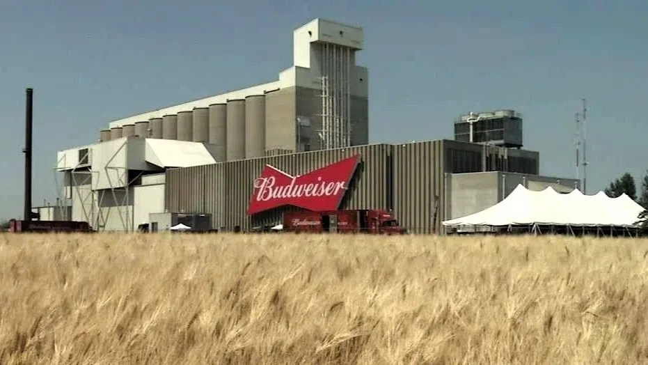 Anheuser-Busch to Close Moorhead Plant and Sell Elevators | Fergus Now