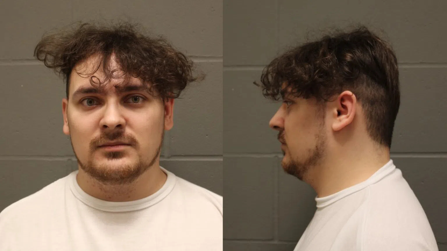 Herman Man Sentenced for Possessing Child Porn | Fergus Now