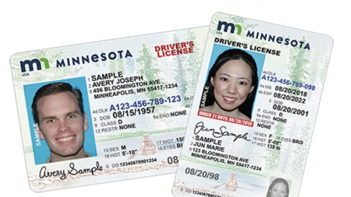 MN DVS to speed license program | KNOX News Radio, Local News, Weather ...