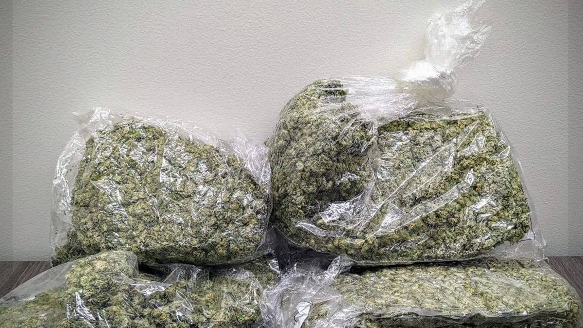 Moorhead drug bust leads to arrest | KNOX News Radio, Local News ... Moorhead drug bust leads to arrest | KNOX News Radio, Local News ...
