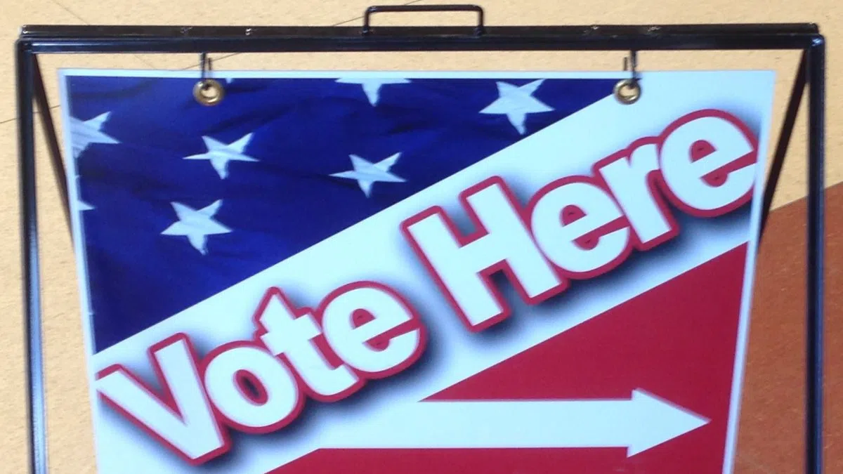 Voter’s guide helps Minnesotans prepare for November elections | KNOX ...
