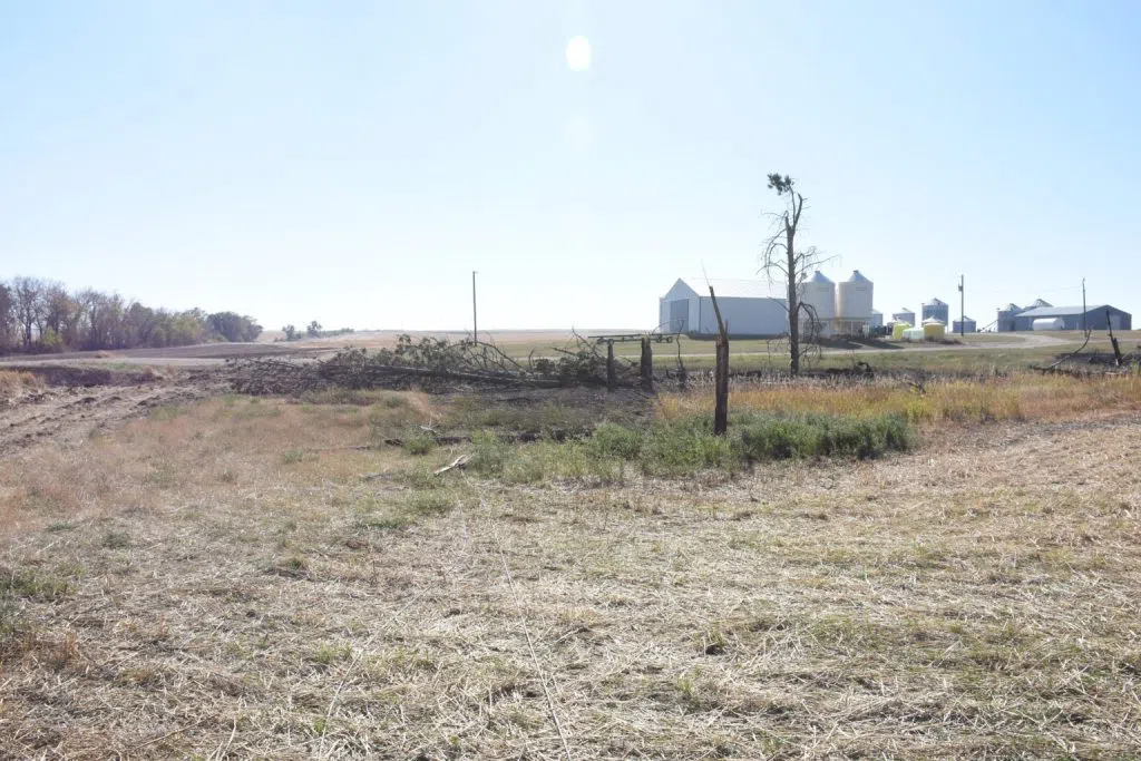 Tree Hitting Power Lines Started Wildfire That Killed 2 in North Dakota ...