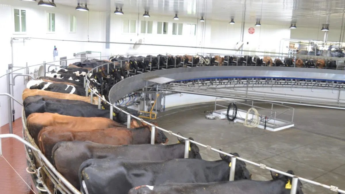 Environmental Agency Approves Permit for Large Dairy in Traill County ...