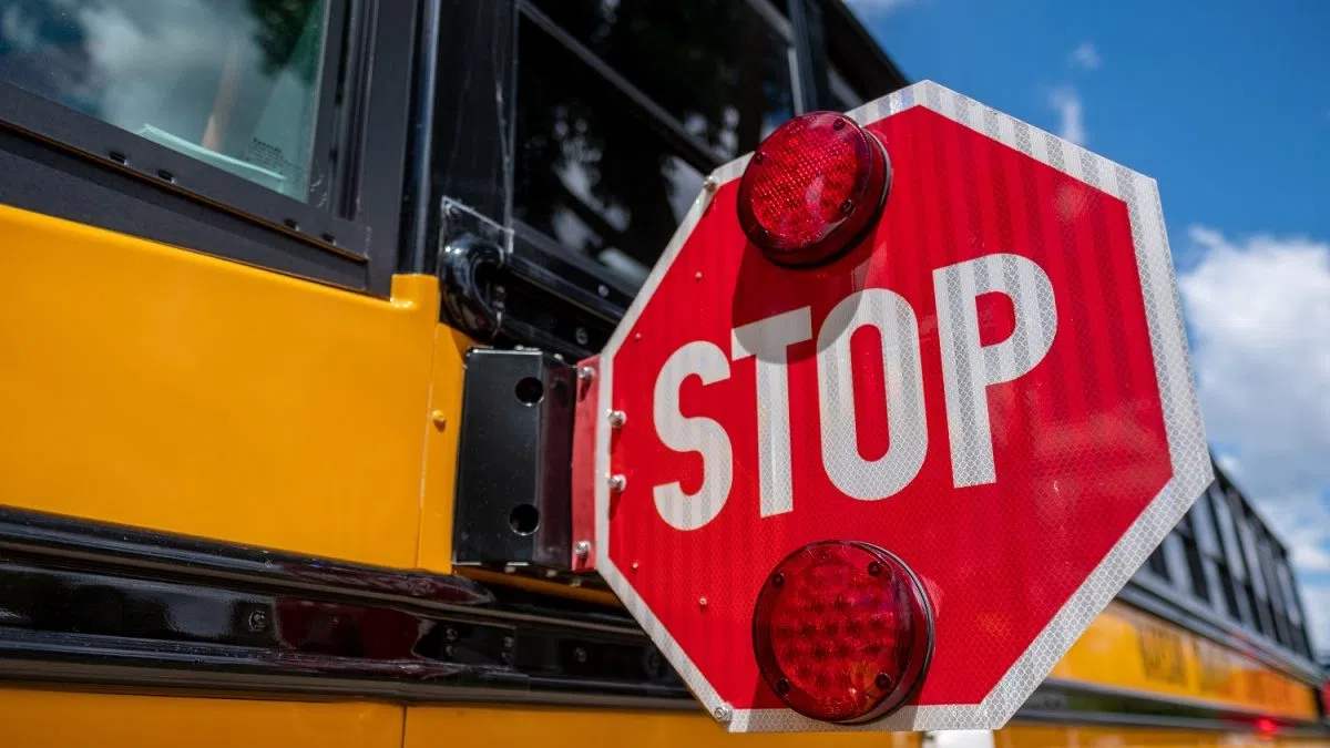 Study Shows Minnesota Needs Better Reporting of School Bus Stop-Arm ...