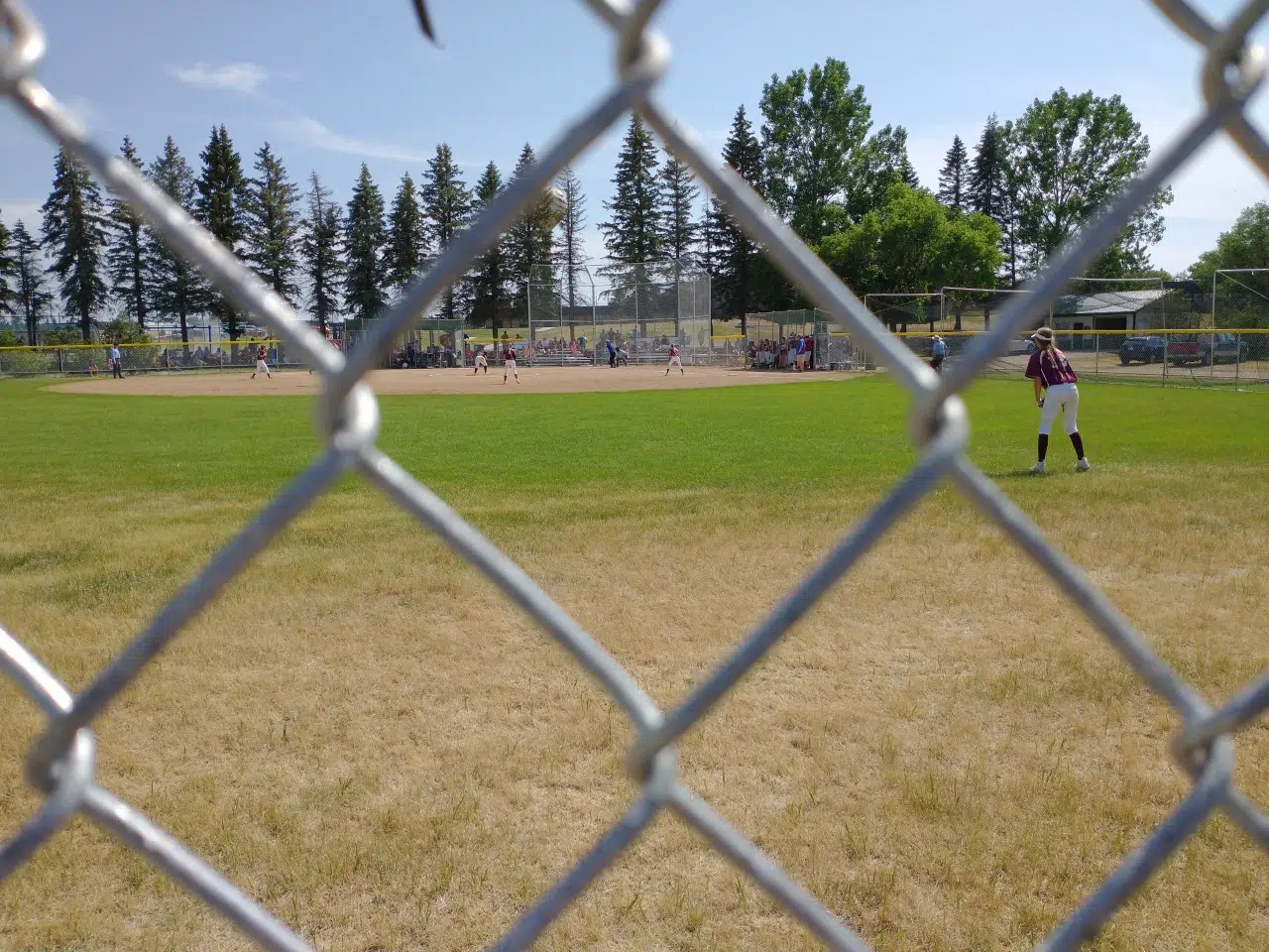 State Tourney on the Line for Hawley and Pequot Lakes Softball | Lakes ...