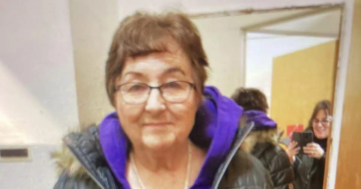 State Trooper Credited in Finding and Saving Life of Missing Detroit ...