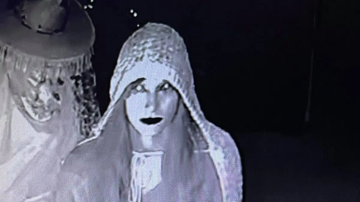 Becker County haunted house moves to old county jail; event runs Oct ...