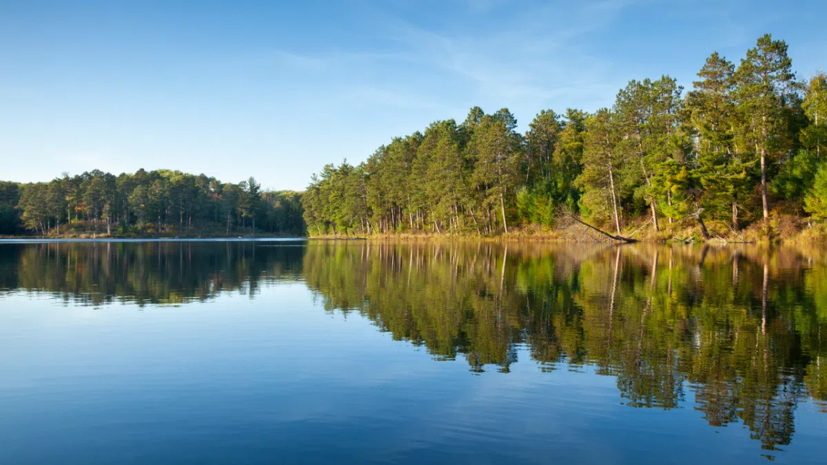 The City of Fergus Falls Tree Planting Celebrates Arbor Day Fergus ...