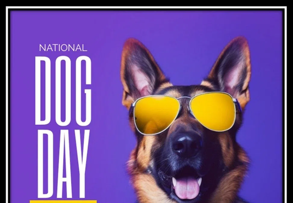 Becker County Sheriff’s Office Announces New K9 Unit | Lakes Area Radio