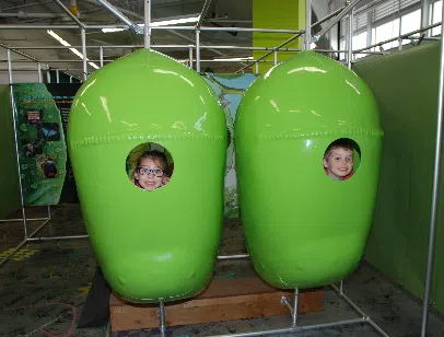 Becker County Museum to Open Interactive “Butterfly Odyssey” Exhibition ...