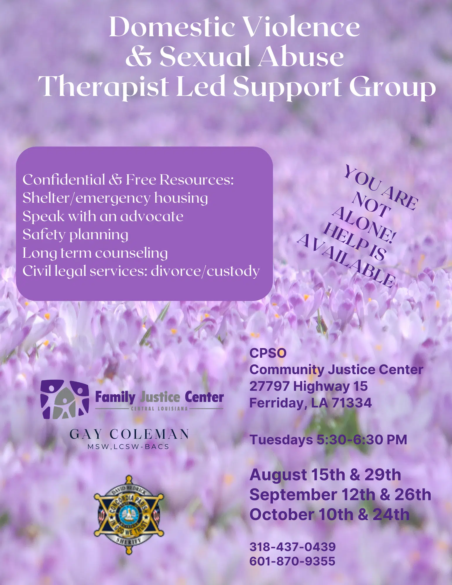 Domestic Violence & Sexual Abuse Therapist Led Support Group ...