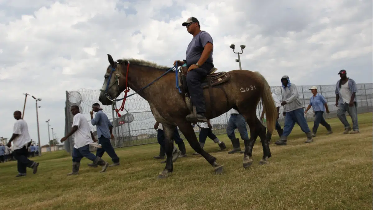 Louisiana prisoner suit claims they’re forced to endure dangerous ...
