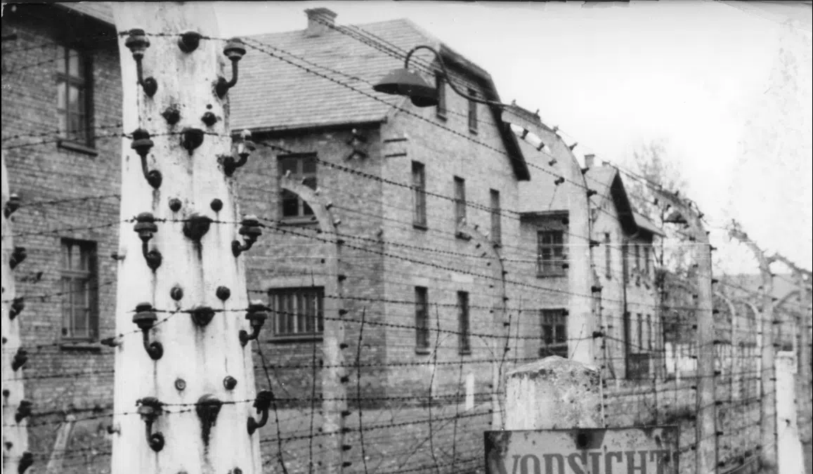 Auschwitz was liberated 80 years ago. The spotlight is on survivors as ...