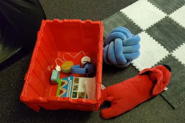 St. Cloud Public Library Opens Calming Room | KNSI
