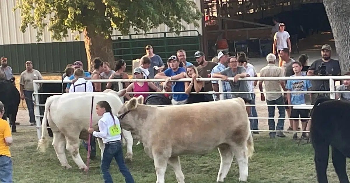 2025 Cass County Fair Gets Underway this Week | Western Iowa Today 96.5 ...
