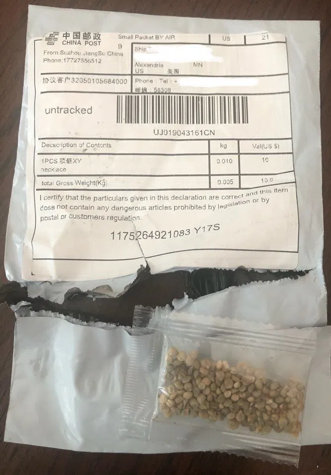 Texas Ag Department: Mystery seed packages from China are back | The ...