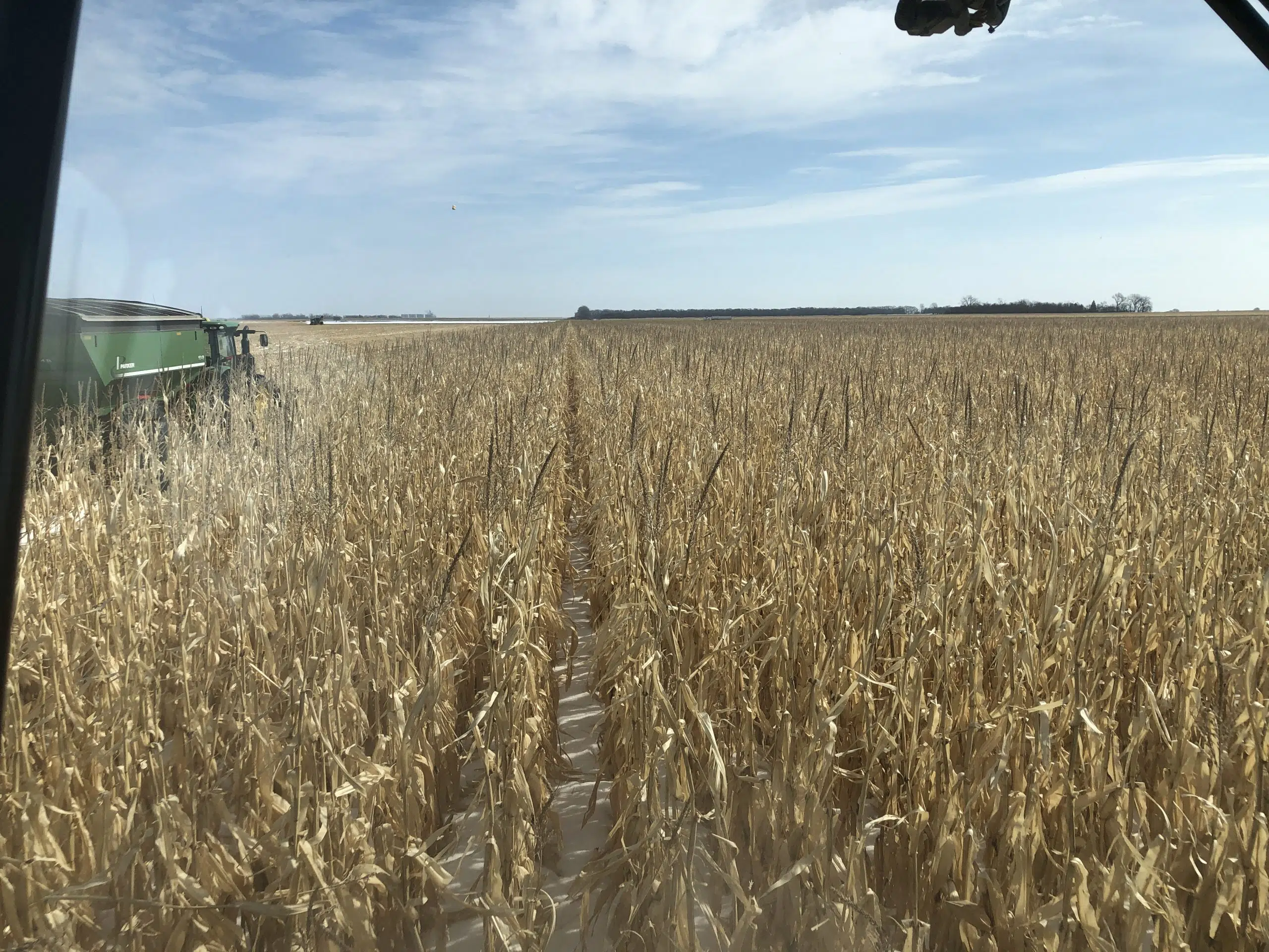 Tri-state crop progress and conditions update for Minnesota, North ...