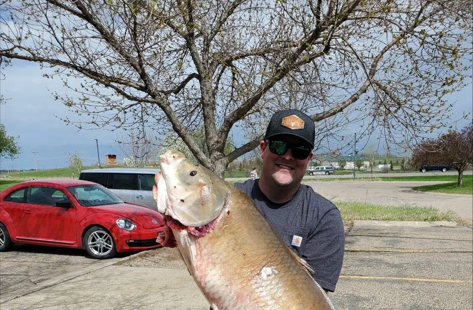 Game and Fish verifies new Buffalo fish record, caught in Heart Butte ...