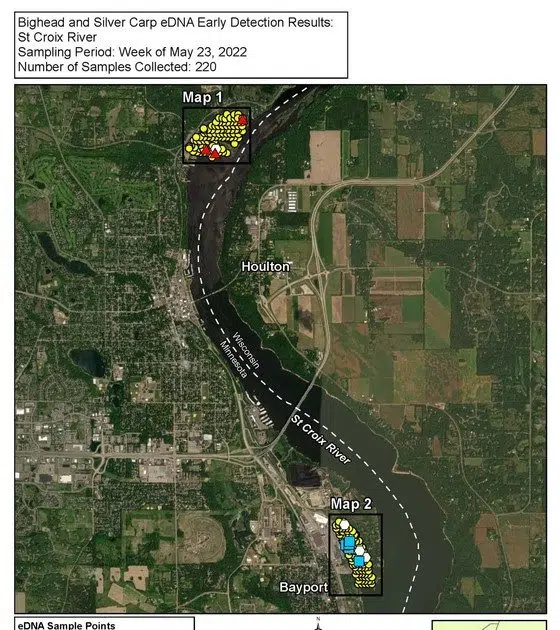 DNR, USFWS using eDNA to learn about invasive carp | The Mighty 790 ...