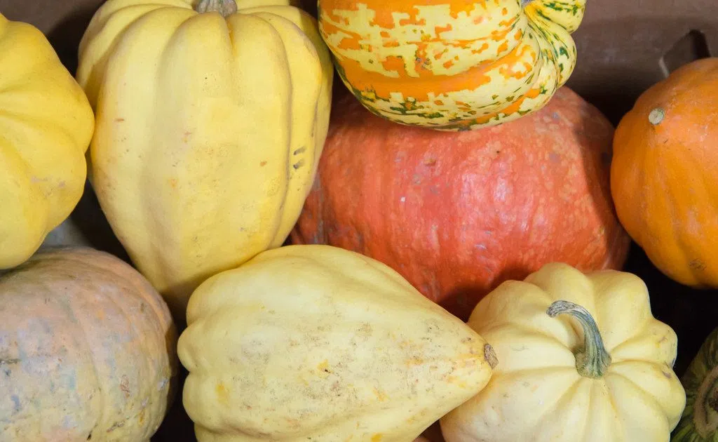 USDA: Vegetable prices spike in 2022 | The Mighty 790 KFGO | KFGO