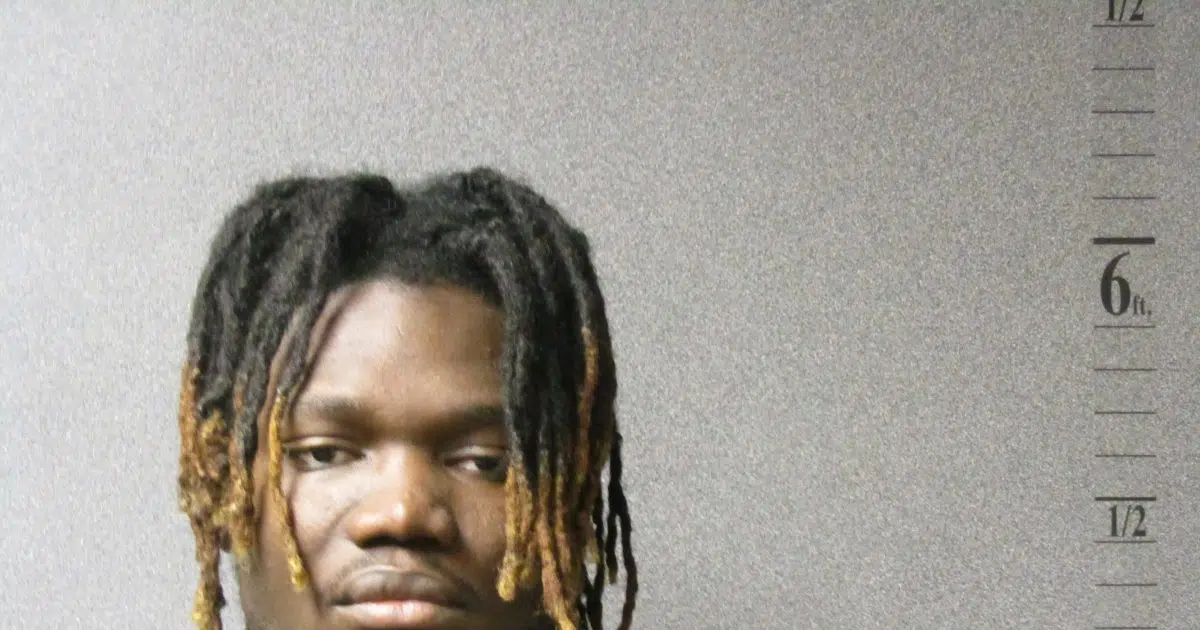 Moorhead woman died of ‘multiple sharp force injuries,” son charged ...