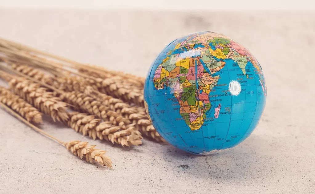 Wheat groups support USDA administration of Food for Peace program ...