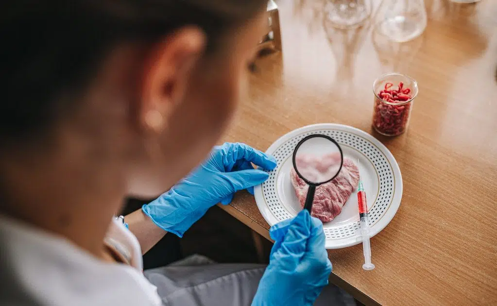 Carbon footprint of lab-grown meat potentially greater than retail beef ...