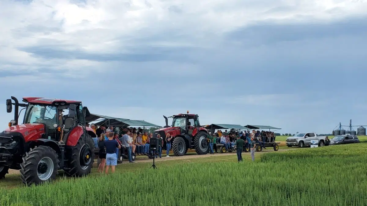 NDSU Agronomy Seed Farm field tour set for July 17 | The Mighty 790 ...