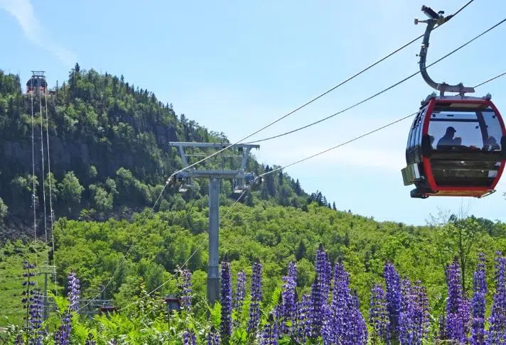 Forest Service rejects expansion plans of Lutsen Mountains ski area ...