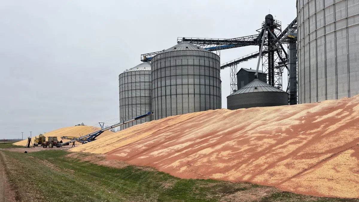 Corn is piling up at elevators across the region | The Mighty 790 KFGO ...