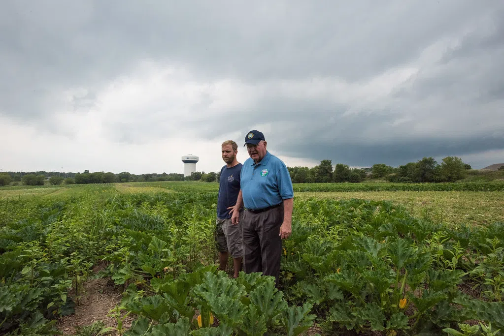 Minnesota Department of Agriculture adds succession teams coordinator ...