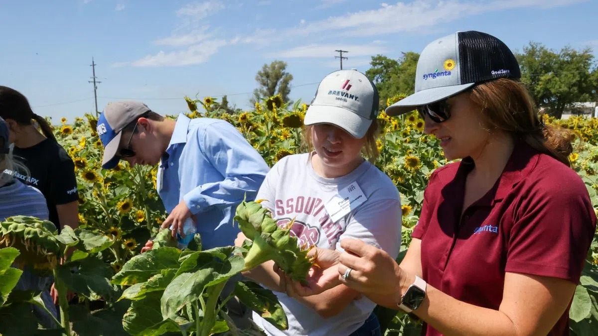 USDA signs agreement with Agriculture Future of America to prepare ...