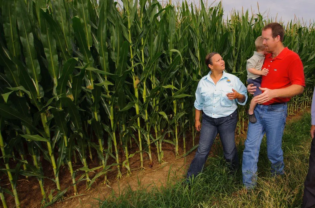 EPA launches new office to strengthen engagement with agriculture | 740 ...