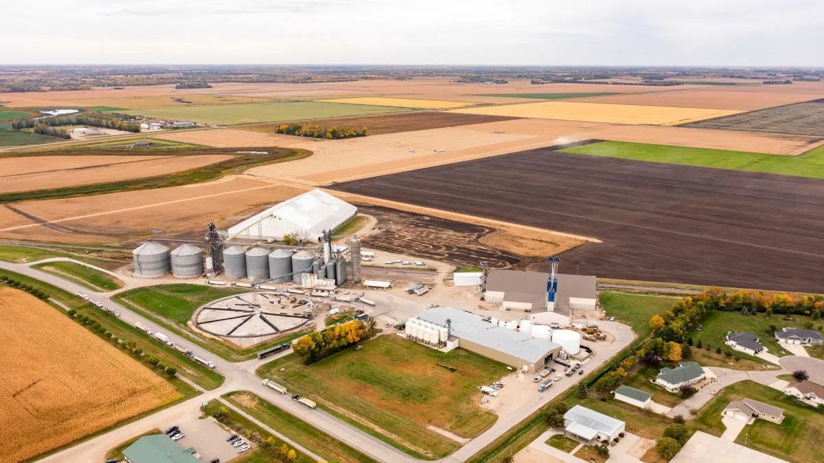 Upgrades to CHS grain terminal in Kindred aim to strengthen global grain supply chain | The ...