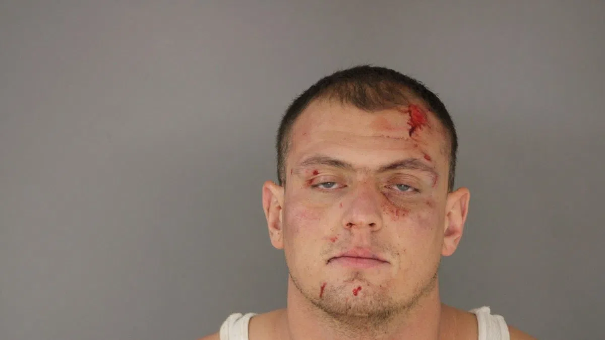 Man charged after struggle with police, accused of using taser on ...