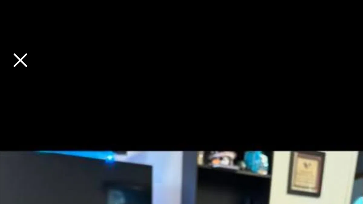 Lost Dog | The Mighty 790 KFGO | KFGO