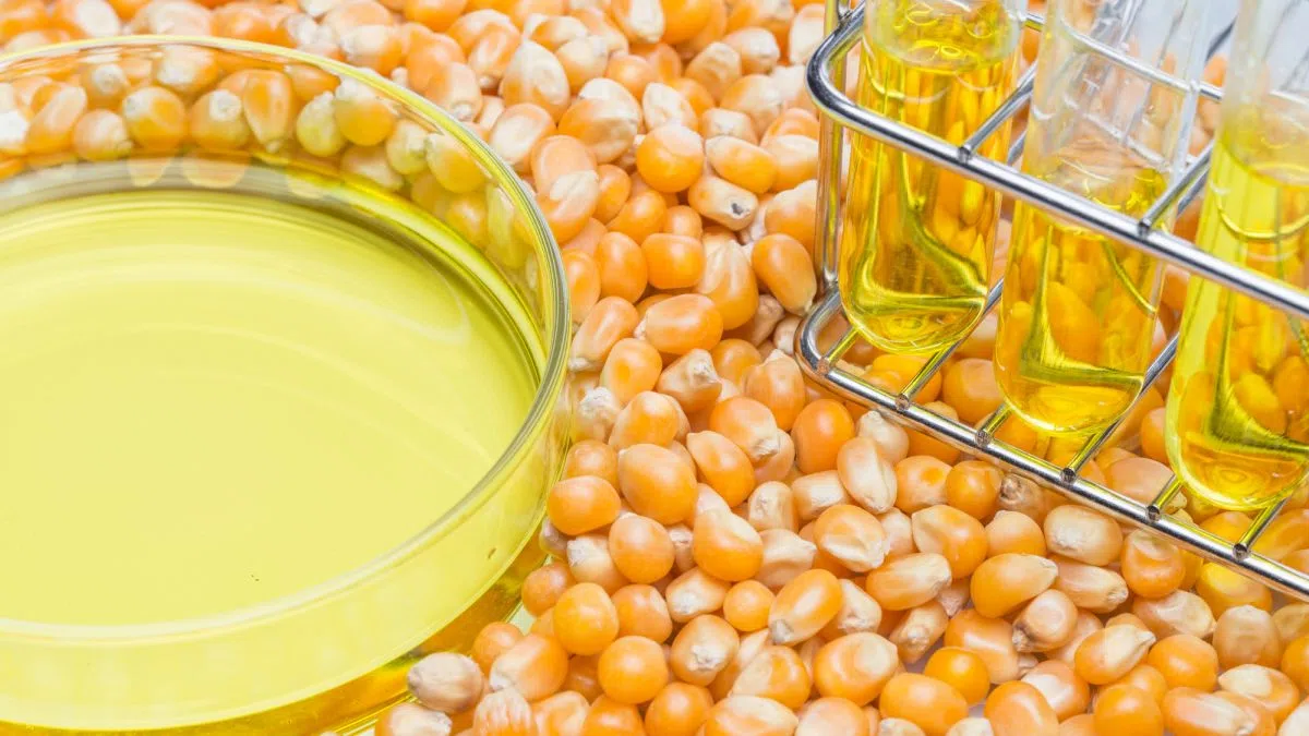 New study shows economic importance of corn refining | The Mighty 790 ...