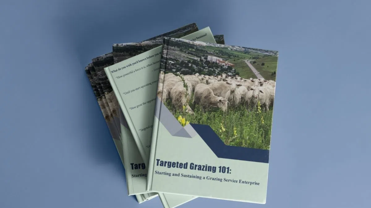Sheep growers publish Targeted Grazing 101 | The Mighty 790 KFGO | KFGO