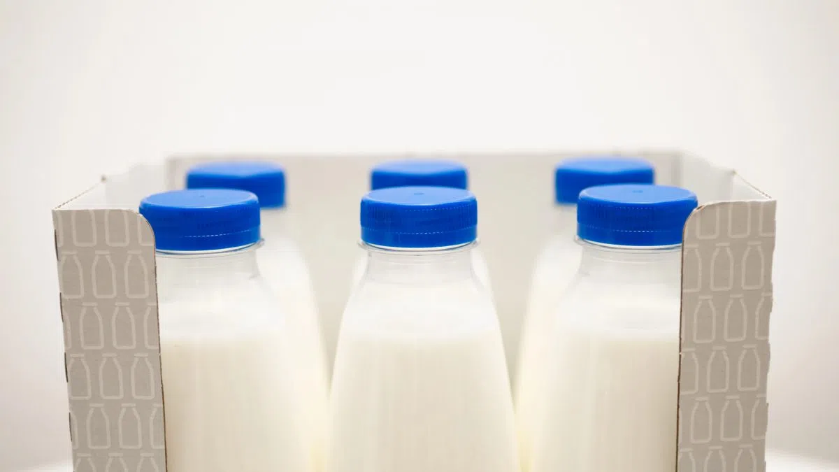 Milk Producers applauds Senate Committee for advancing whole milk bill ...