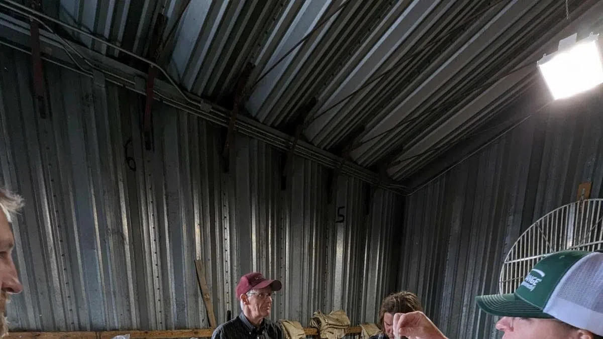 Applications open for 2025-’26 SDSU Extension Elevate Ewe program | The ...