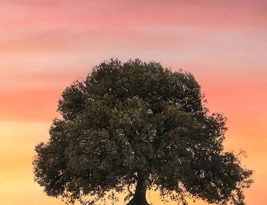 Matthew “Matt” Grove | The Mighty 790 KFGO | KFGO