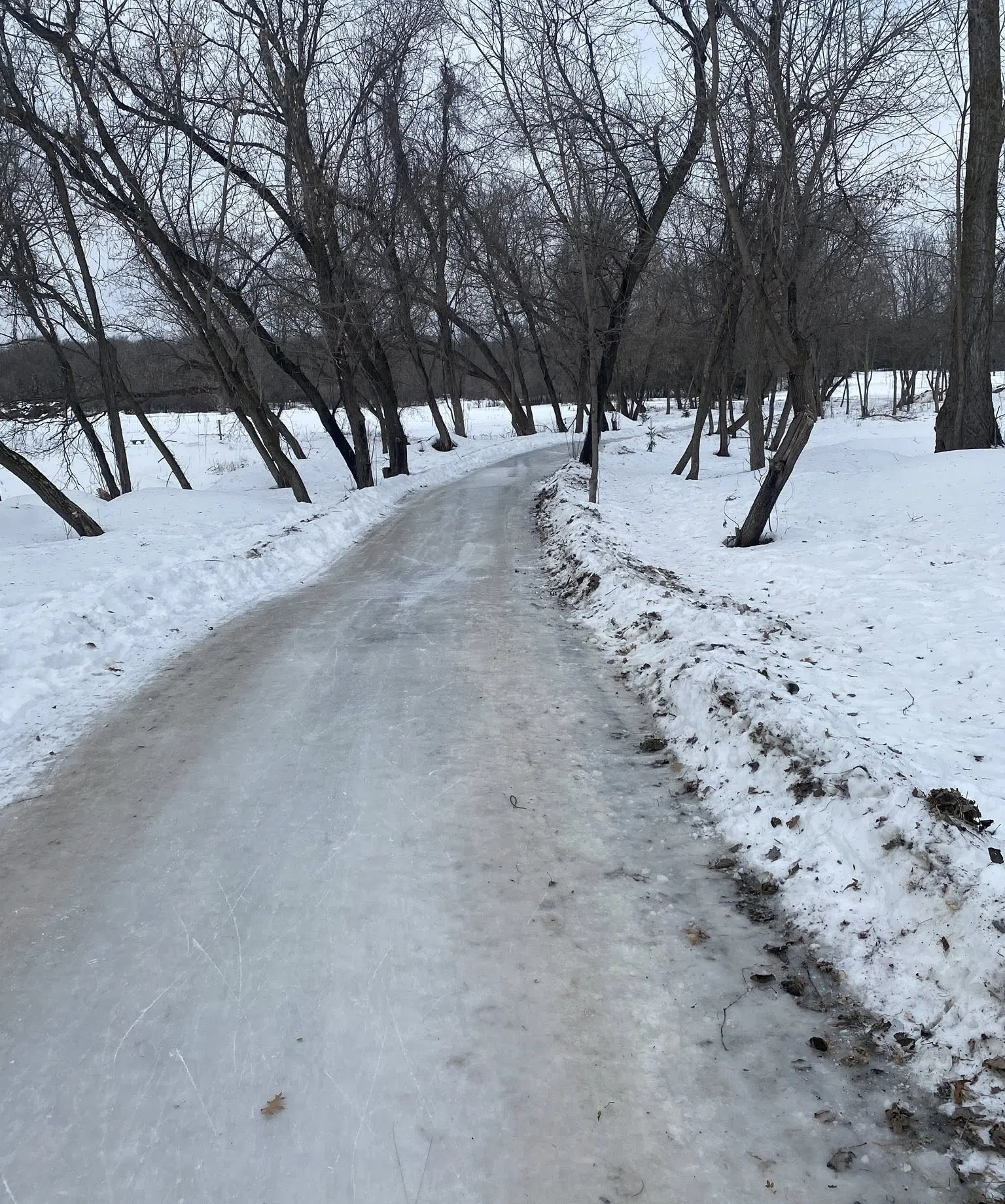 Minnesota’s first forest ice skating trail opens | The Mighty 790 KFGO ...