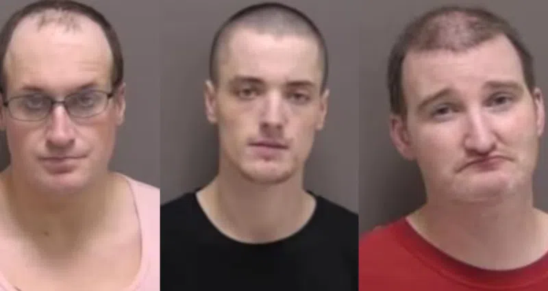 Permit filed to bring Taco John’s back to Fargo for the first time ...