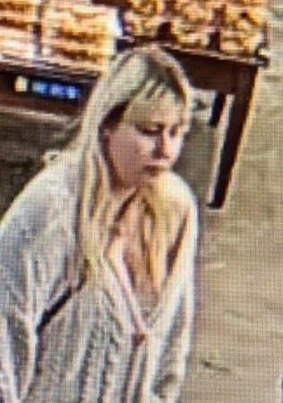 Citizen-led initiative to gather signatures for free school meals in ...