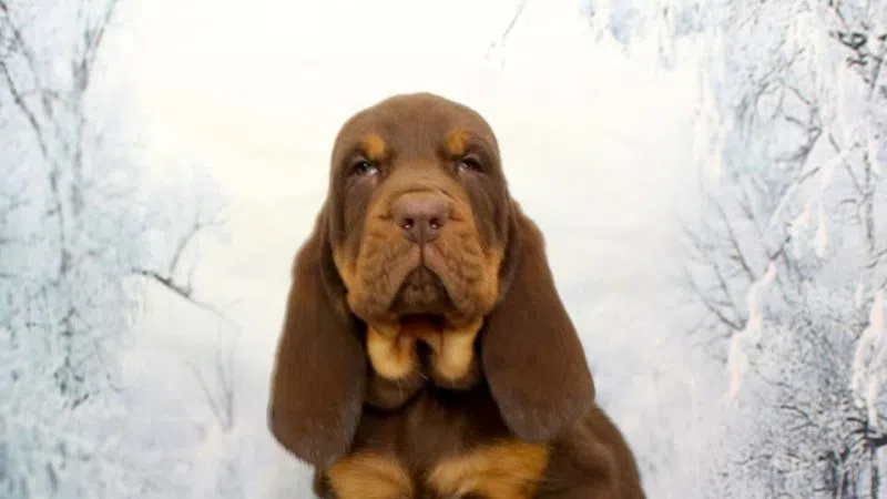 Man dies in house fire in Wheaton, MN | The Mighty 790 KFGO | KFGO