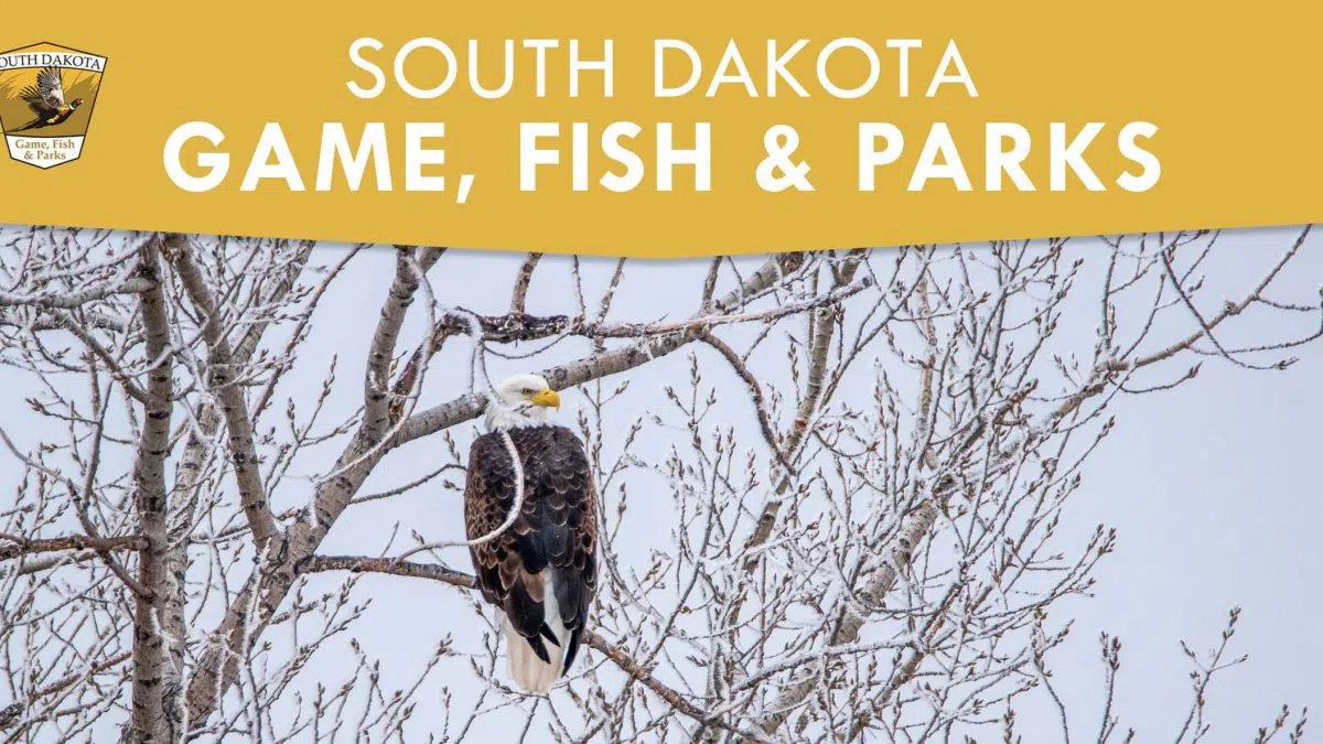 South Dakota GFP Commission Holds March Meeting | The Mighty 790 KFGO ...