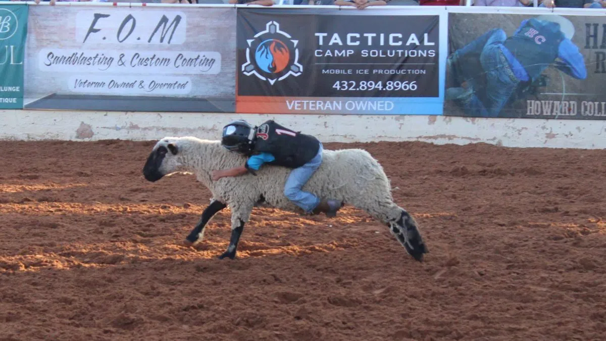 Kids participate in Mutton Bustin’ events at 91st annual Cowboy Reunion ...