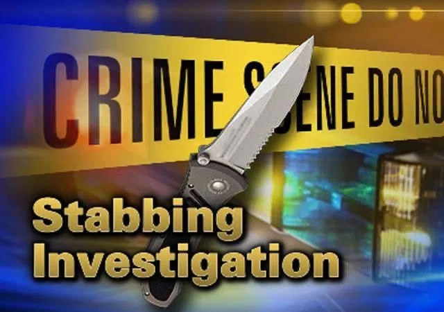 Minor injuries reported in car-deer accident Thursday on I-69 | WTVB ...