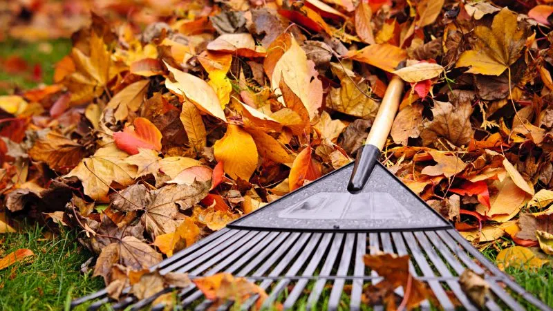 U.N. Human Rights chief due to arrive in China for historic visit ...